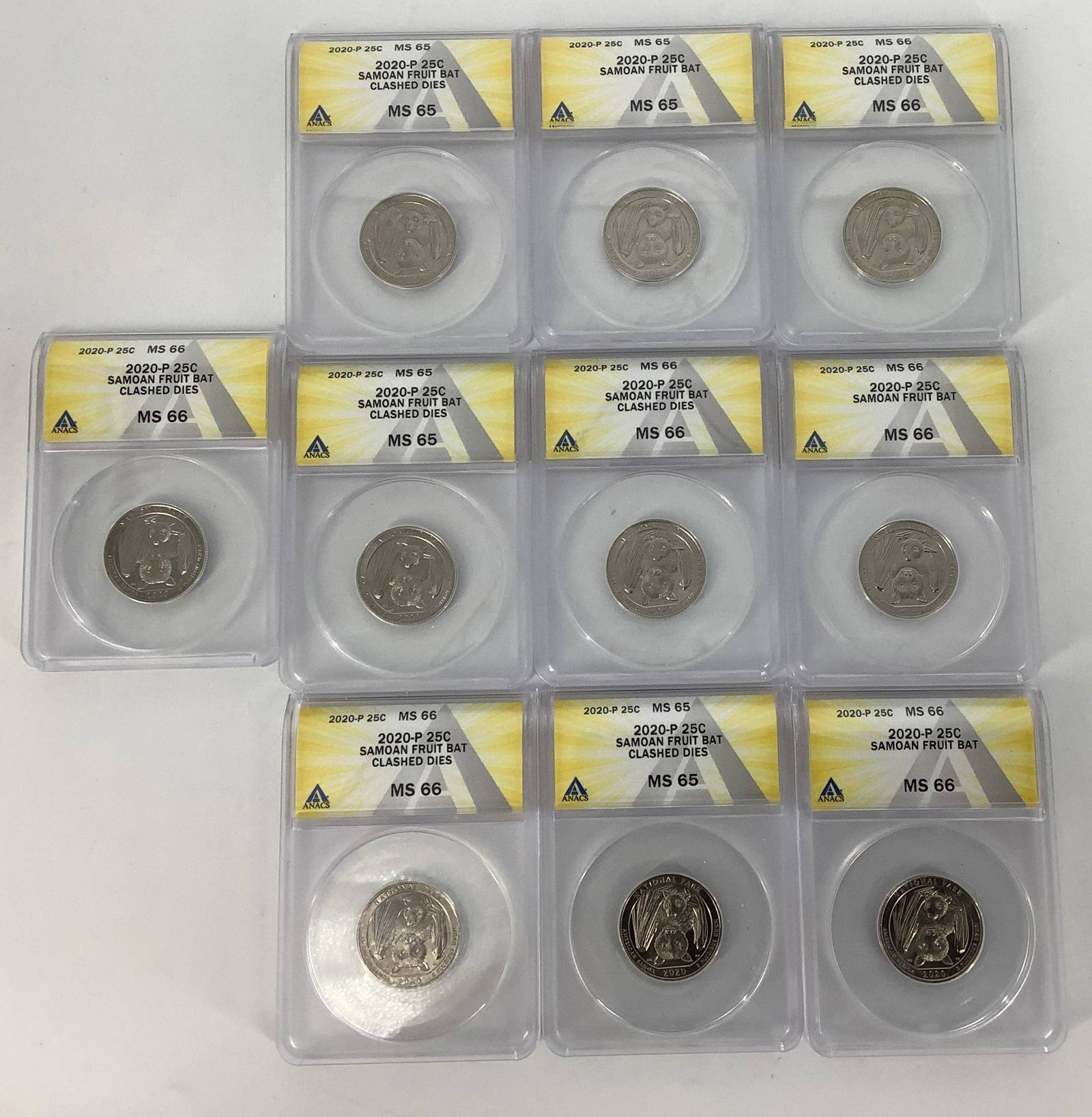 Box Of 10 Cased Samoan Fruit Bat Clashed Dies Quarters Auction