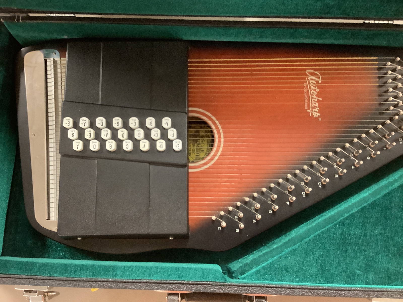 Autoharp With Case Auction
