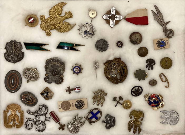 Display Case With Foreign Military Pins, Ribbons, And A Coin