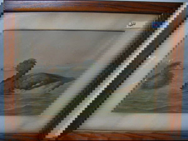 1878 Chromolitho Pair Ducks Water By A. Pope Jr.