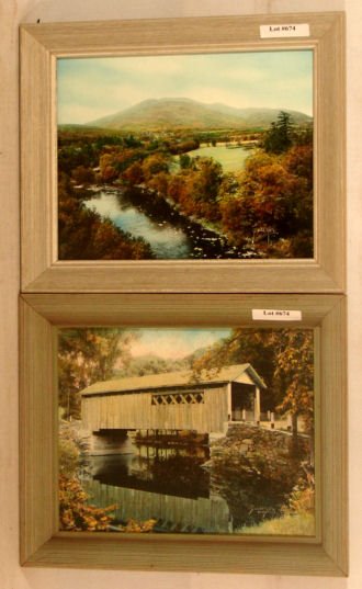 674: Charles Sawyer - Pair of Lacquered Scenes