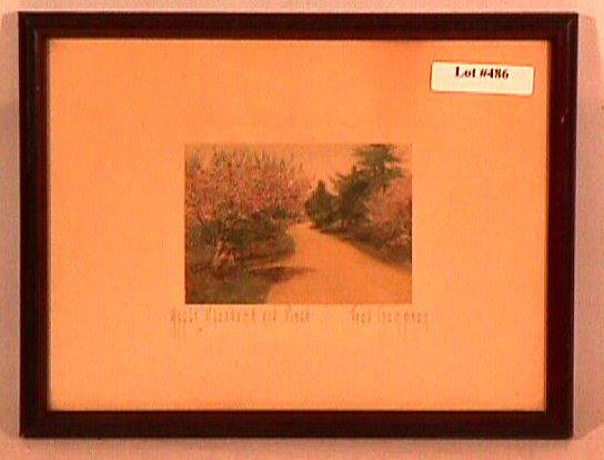 Fred Thompson Apple Blossoms And Pines