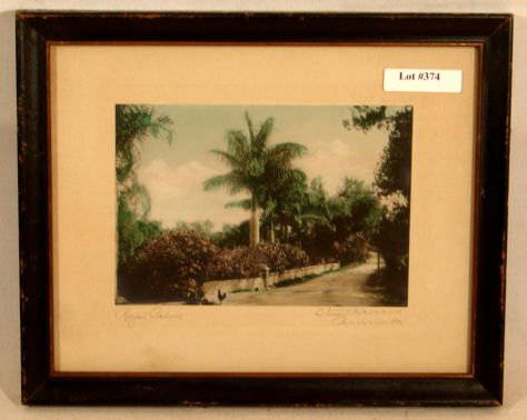 Stuart Hayward Royal Palms, Bermuda