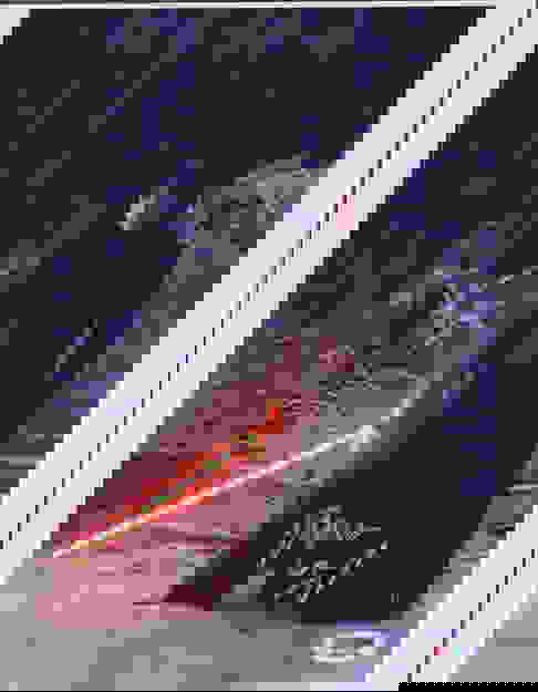 Adam Driver Star Wars Signed Photo Auction