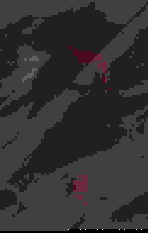 Terminator Hair Appliance Auction