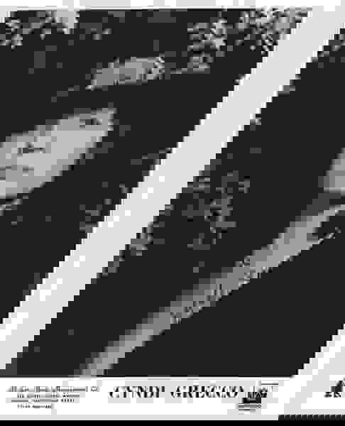 Cyndi Grecco Signed Rare Photo Auction