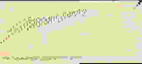 Jim Morrison Rare Signature Auction