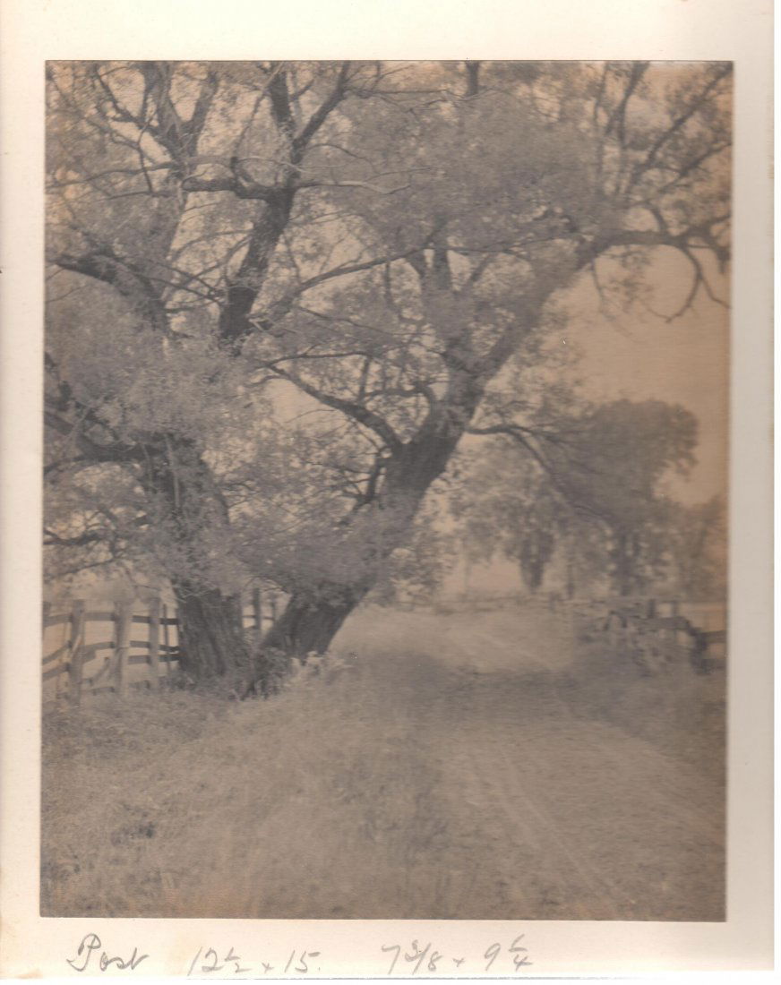 William B. Post Prices - 2 Auction Price Results