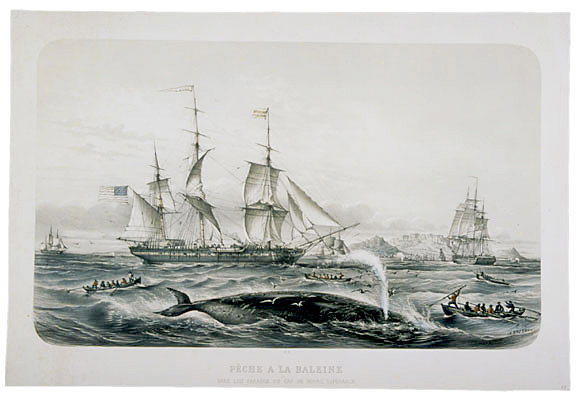 462: c. 1860, American Whaling Ship Print