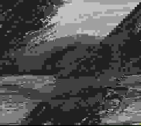 Hal Robinson 1867 - 1934 Auction