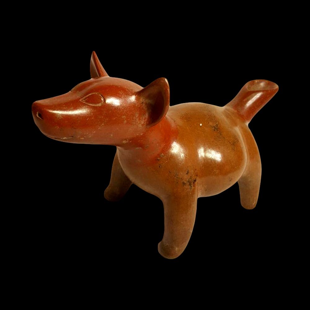Pre-Columbian Colima Pottery Dog