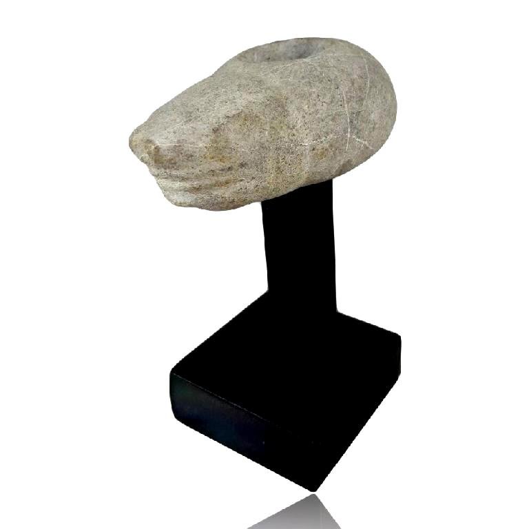 Pre-columbian Costa Rican Snake Mace Head