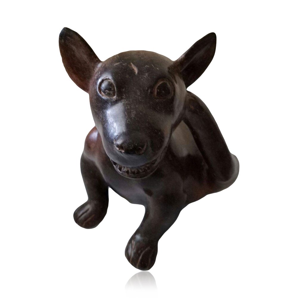 Rare Pre-columbian Colima Dog