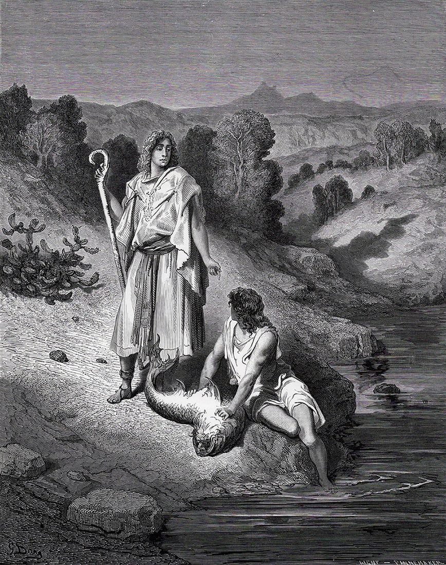 Framed 1800s Gustave Dore Biblical Woodcut Tobias Catches A Fish Signed ...