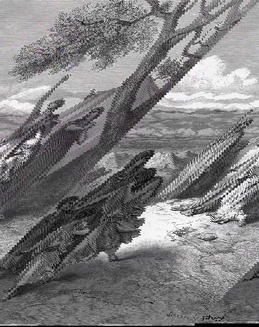 Gustave Dore 1800s Religious Woodcut Noah Curses Ham & Canaan Framed ...