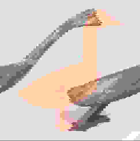 Cast Iron Goose Auction