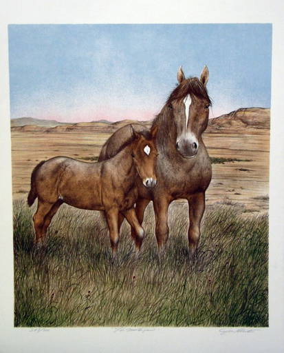 255: Jon Roberton Mustang Horse Lithograph Signed & Num - May 17, 2009 ...
