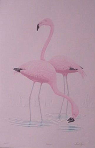 Frank Logan Flamingos Pencil Signed & N