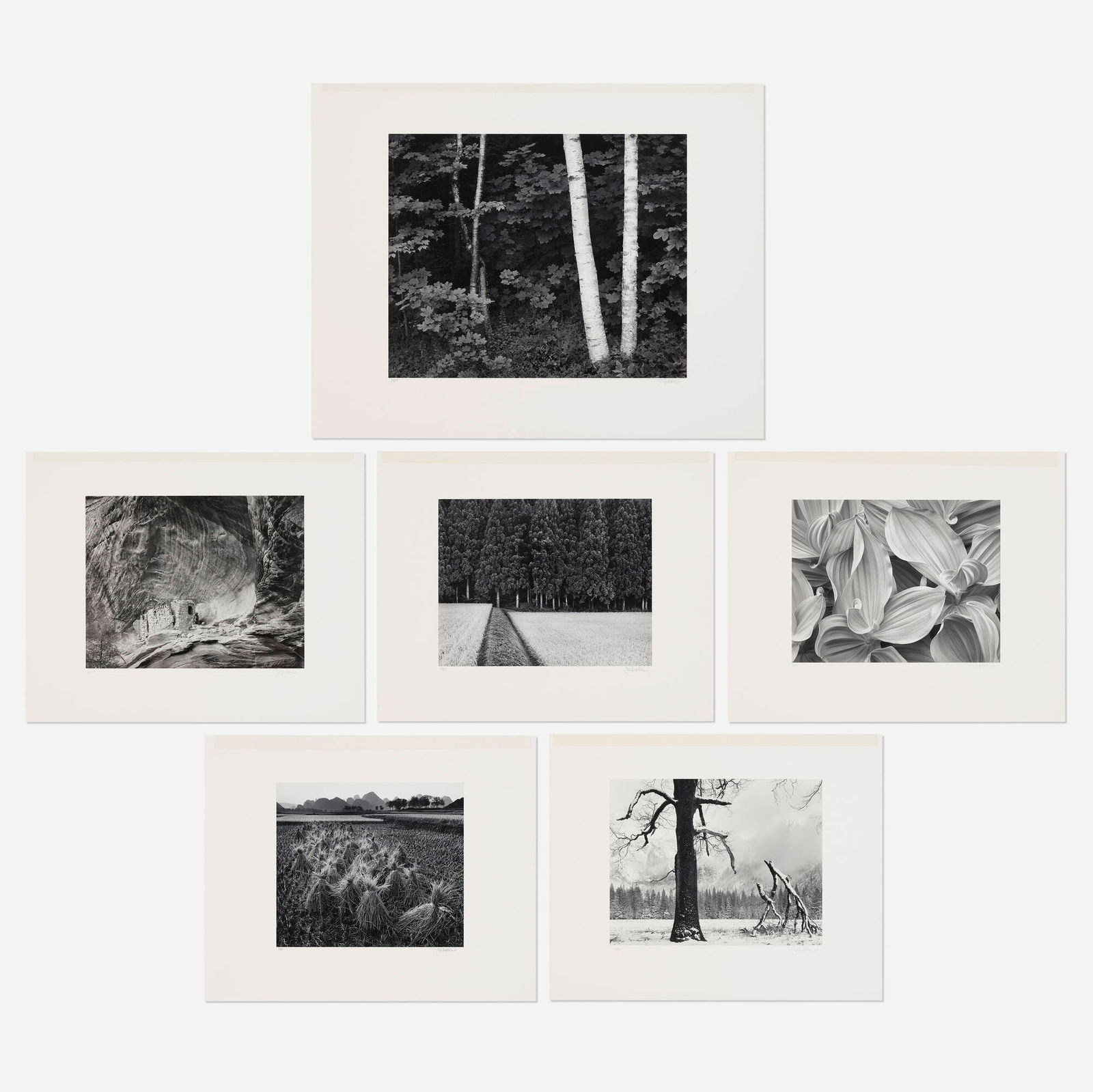 John Sexton, Collection Of Six Works Auction