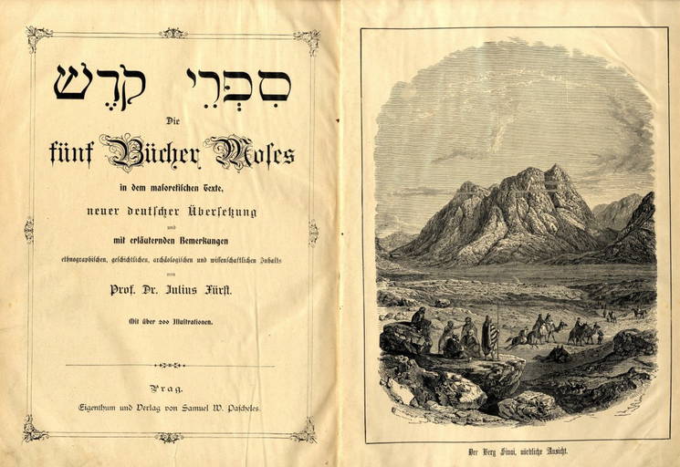 Illustrated Tanach With German Translation. Julius