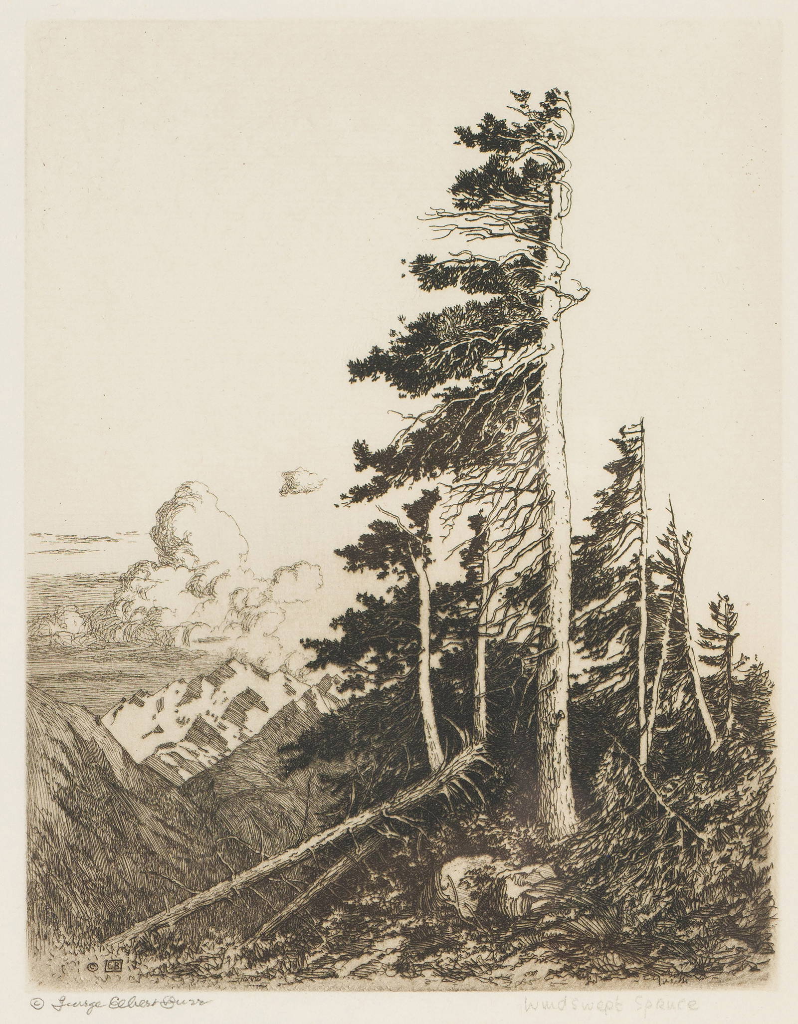 George Elbert Burr Windswept Spruces (s. 131), 1917 Auction