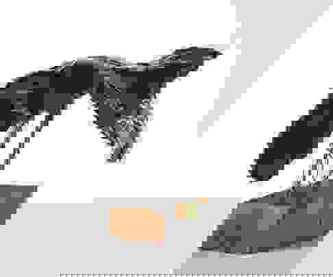 Carl Dahl Black Bird, 2014 Auction