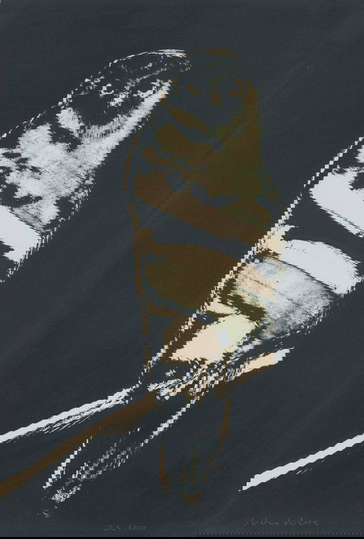 Fritz Scholder Anpao/owl (t: 76-659), 1976 Auction