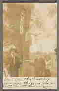 Real-photo postcard of lynching - Jul 11, 2013 | PBA Galleries in CA