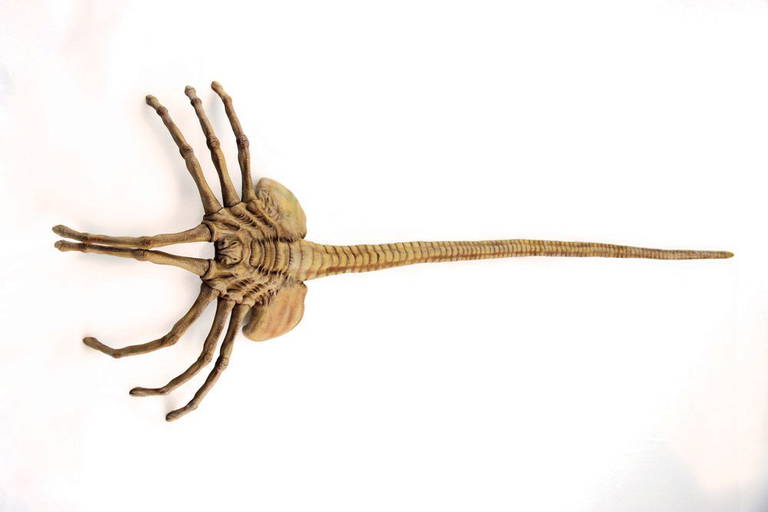 Alien Face Hugger Model
