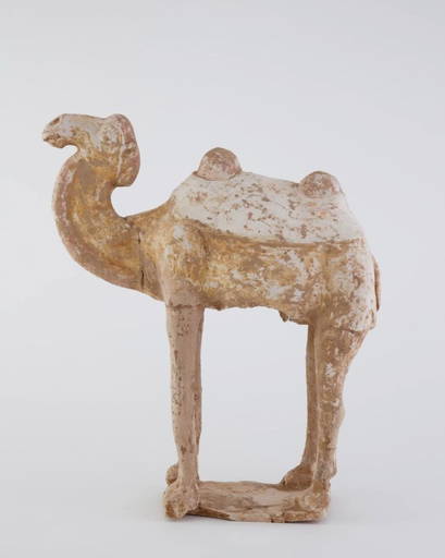 Tang Dynasty Clay Camel