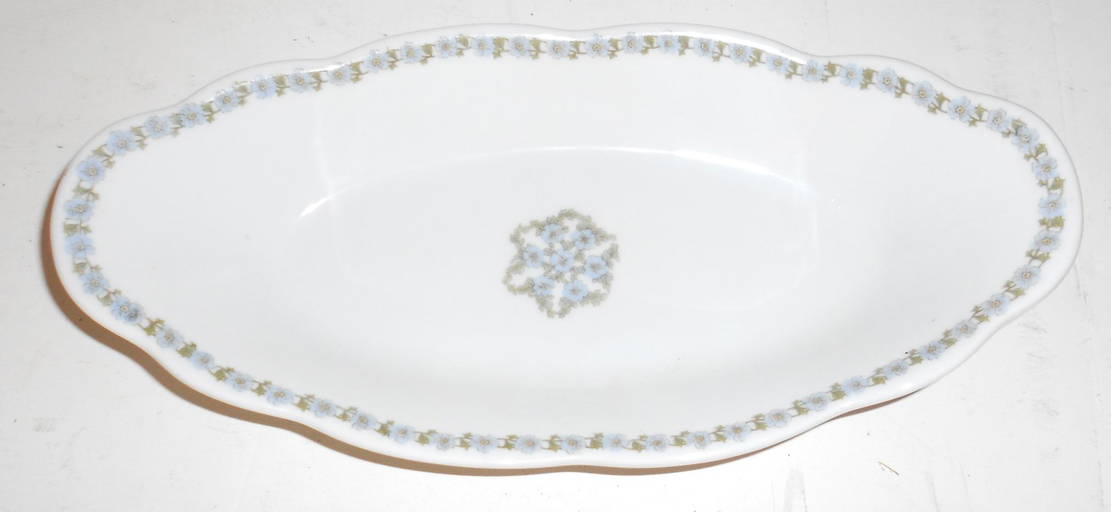 Lehigh Valley Backstamped Asa Packer Celery