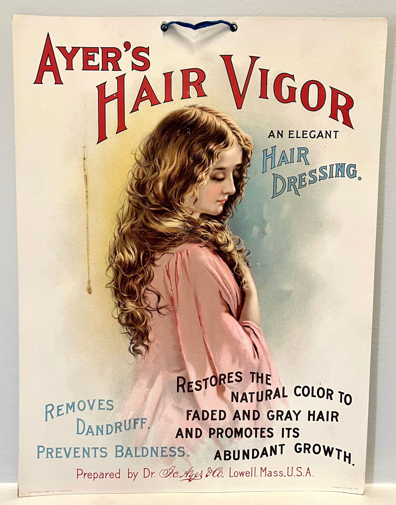 Ayers Hair Vigor Nos Cardboard Store Display Sign Auction