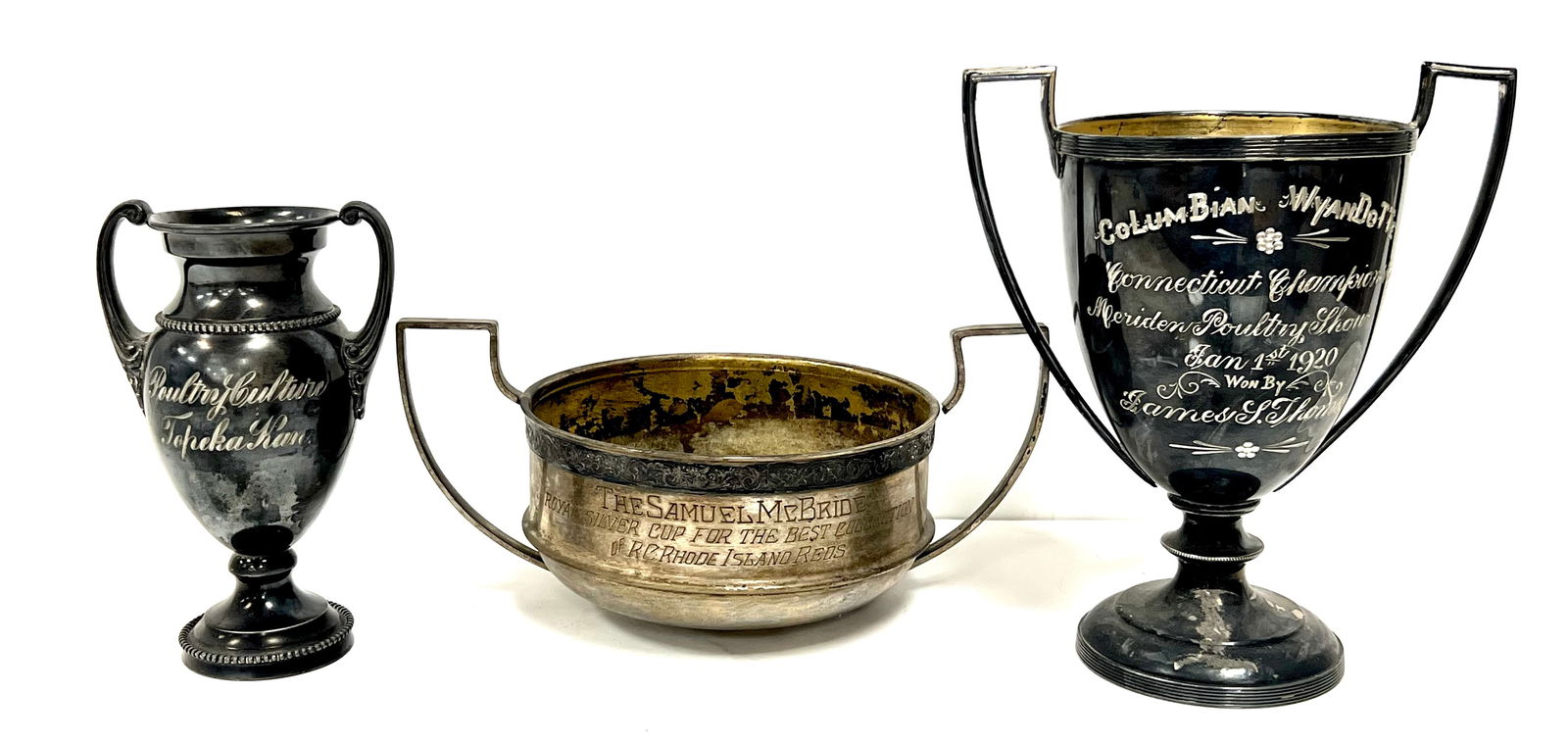 Antique Trophies Auction