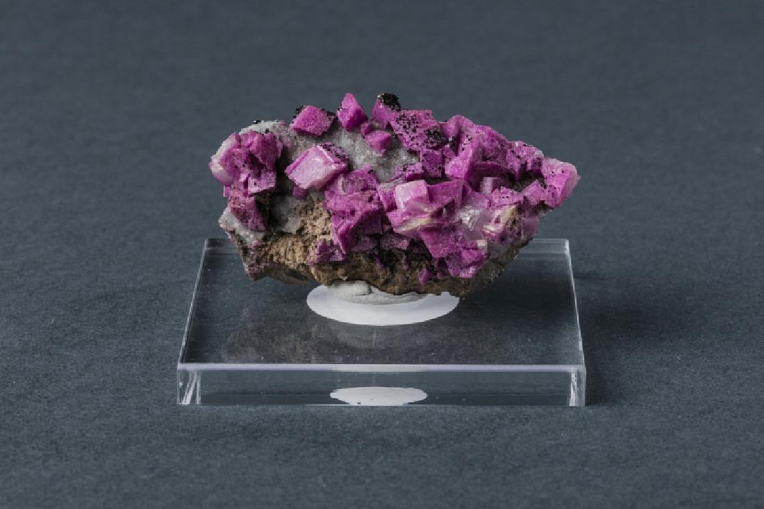 Dolomite ( Cobalt ) Mineral Specimen Crystal