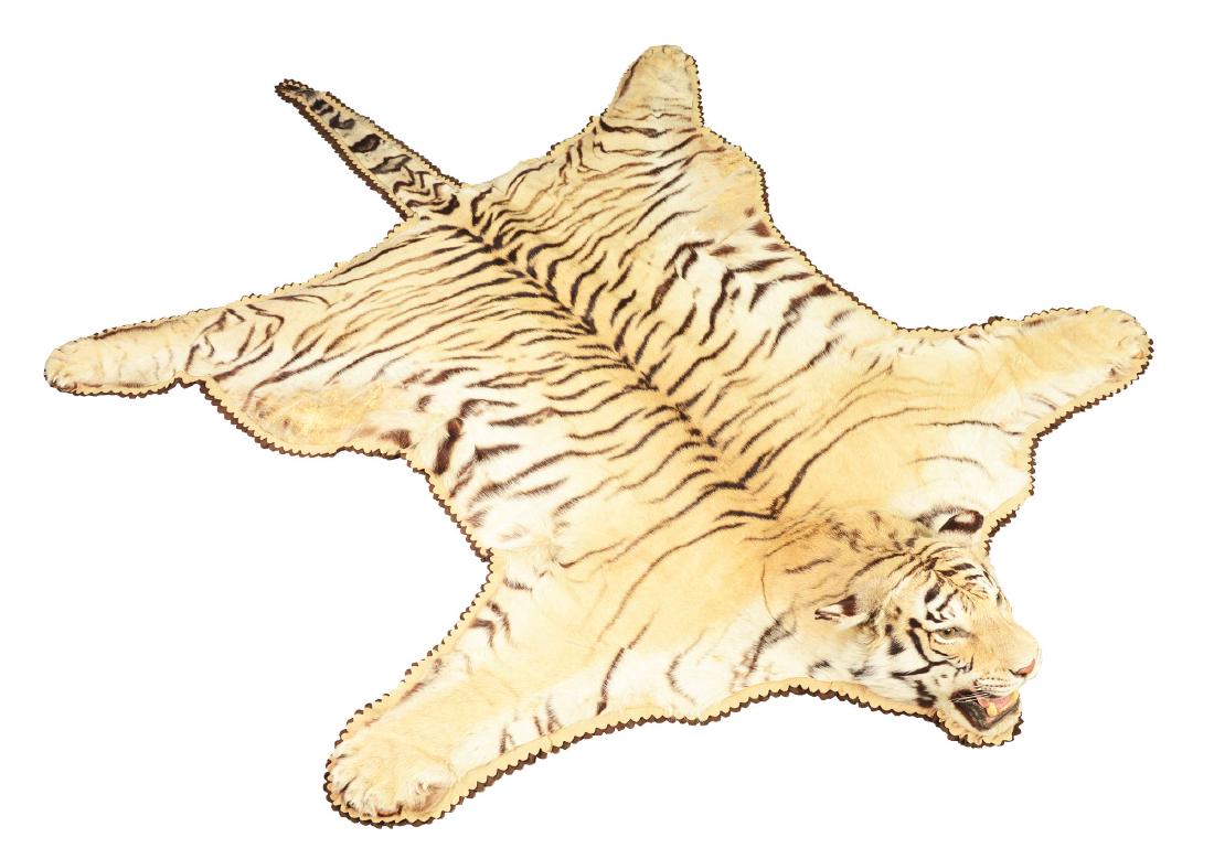 Tiger Skin Rug.