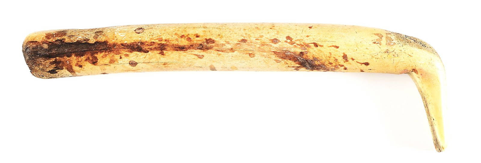 Elk Horn Native Hide Scraper Auction