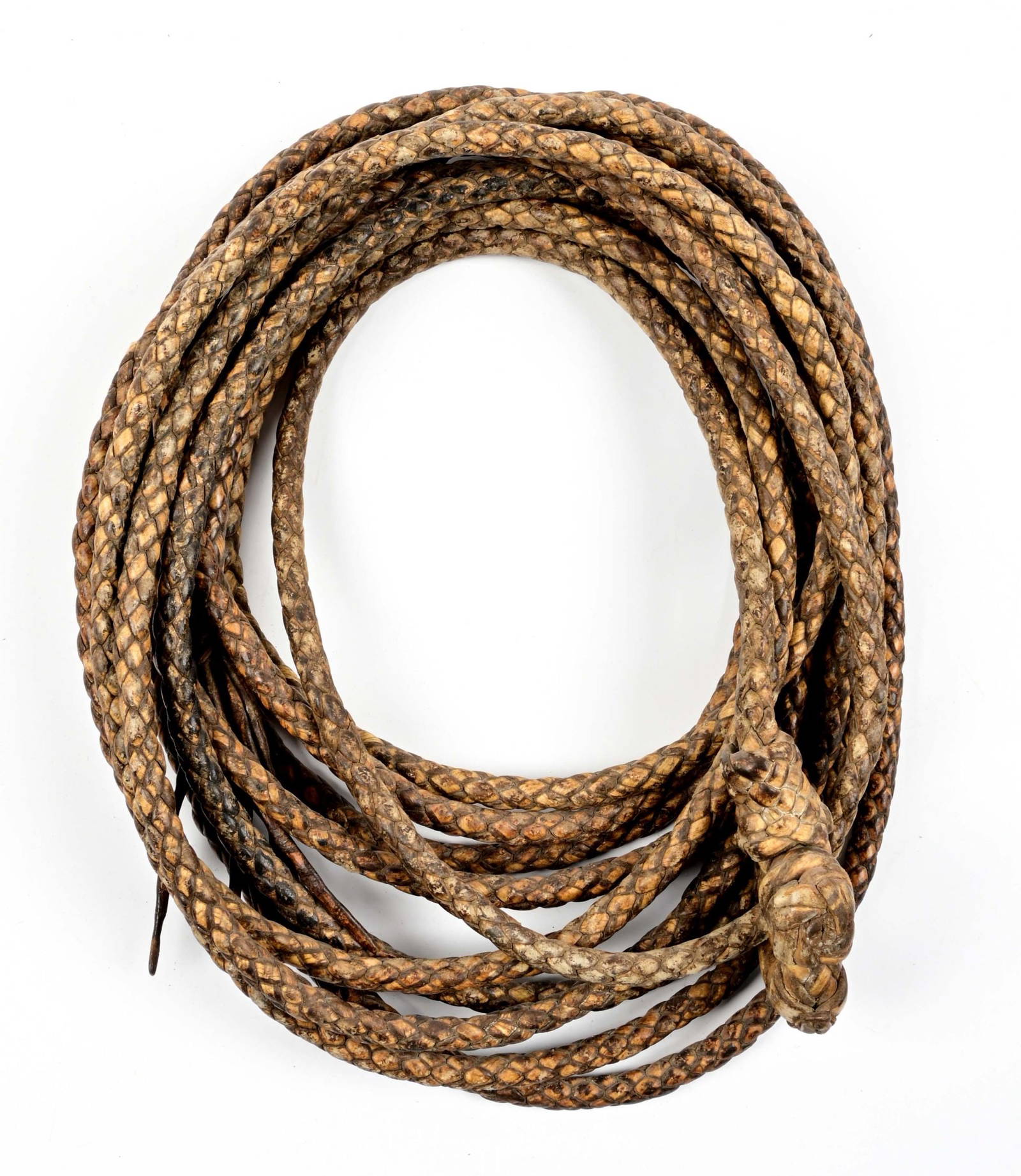 Rawhide Reata. Auction