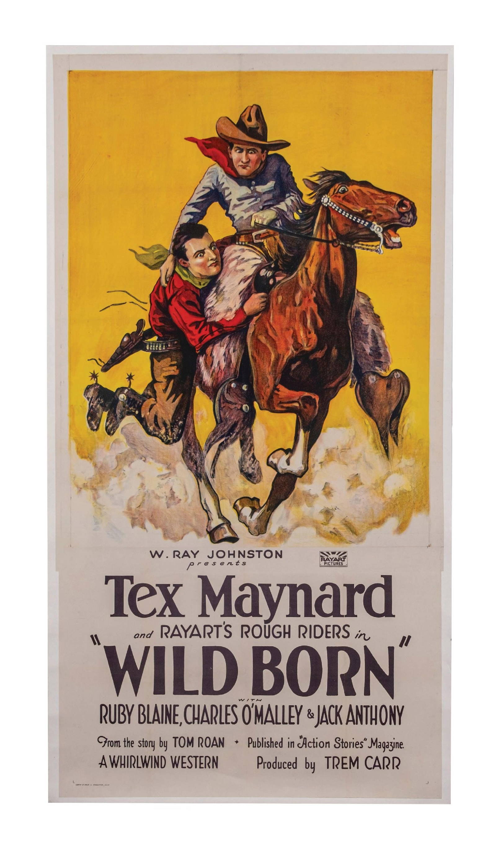 Rare 1927 Tex Matnard "wild Born" 3 Sheet Lobby Poster Auction