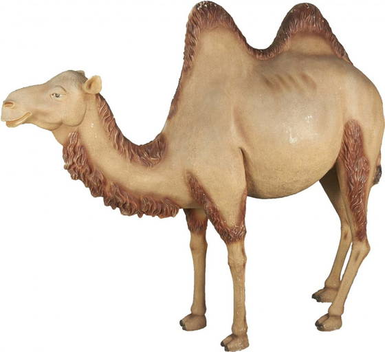 Life Size Fiberglass Camel Prop