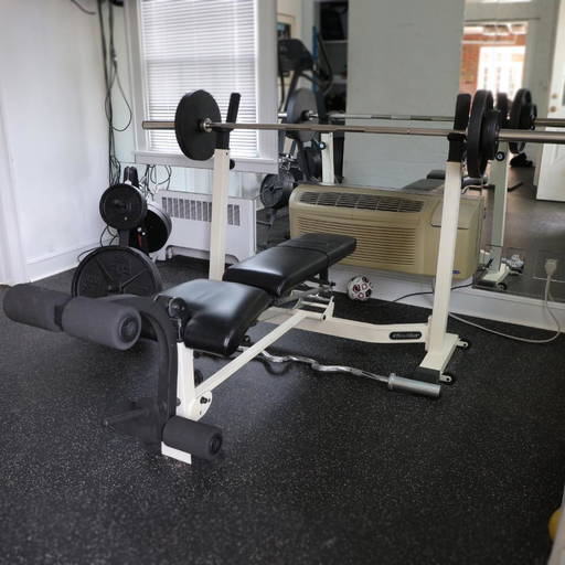 Nautilus Free Weight And Bench System