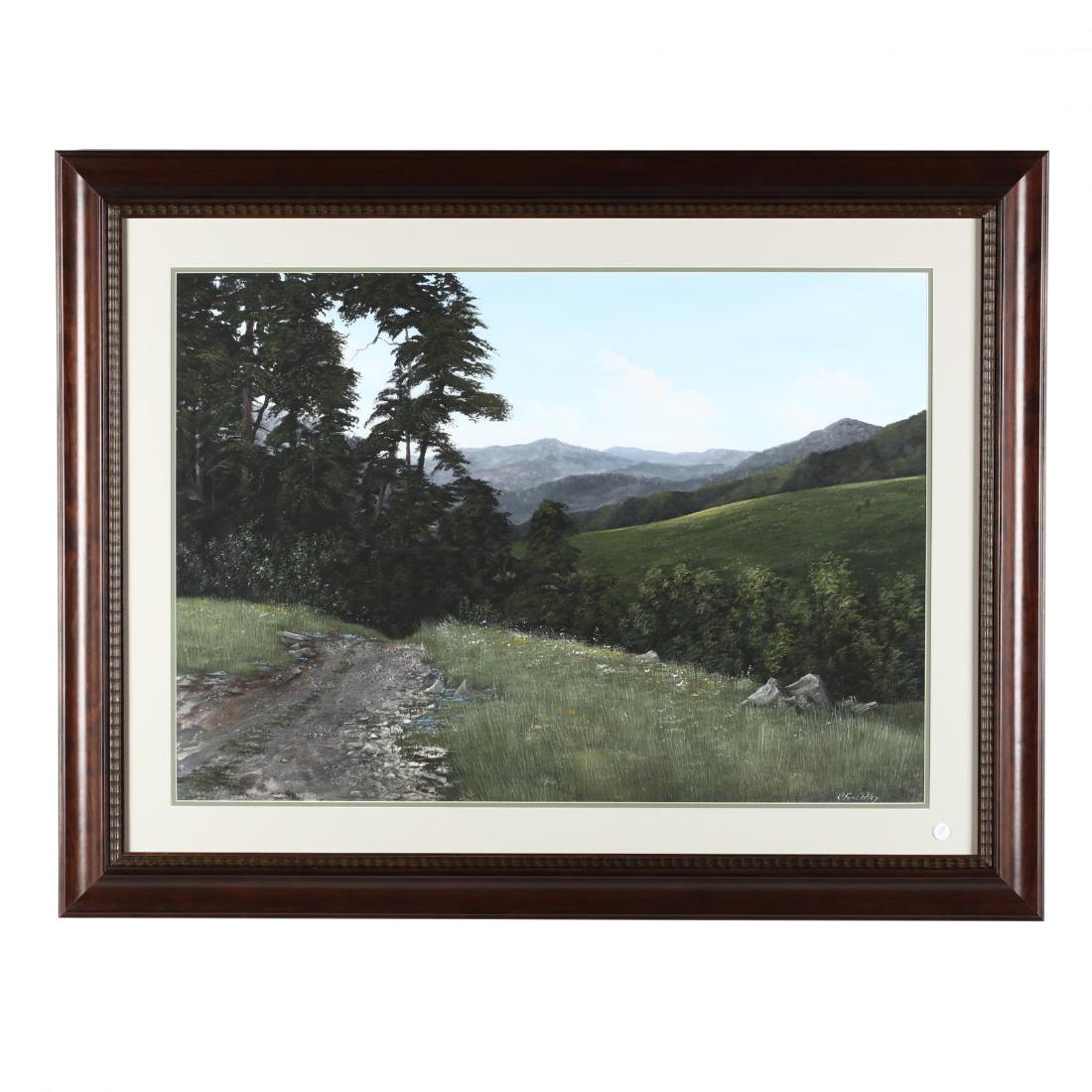 C. Ford Riley (FL, b. 1952), Moses Cone Memorial Park