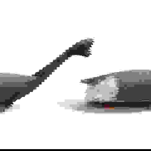 Ben Fulcher (nc, 1883-1953), Roothead Brant Auction