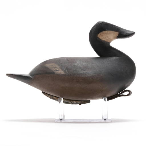 Pete "hurricane" Peterson (va, B. 1944), Ruddy Duck