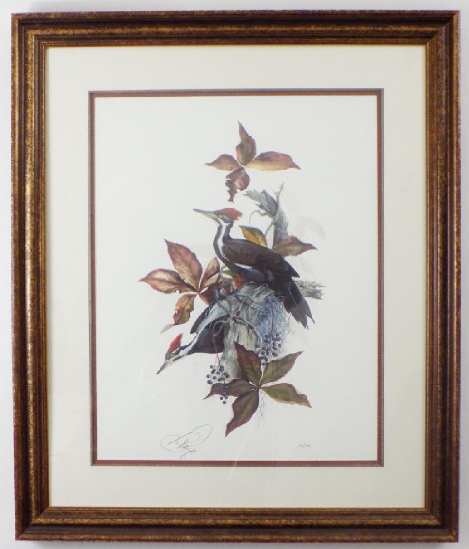 C. Riley Pencil Signed Lithograph Woodpecker Bird