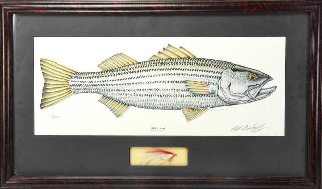 Bill Bishop Jr Striped Bass Lithograph