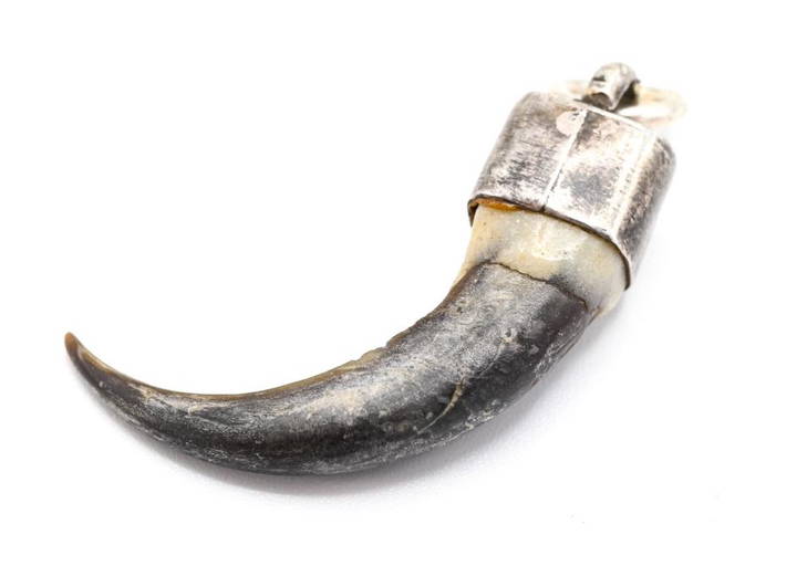 Antique Sterling Silver & Claw Necklace Pendant