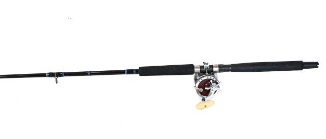 Daiwa Saltist Stnc 70 Hf 7' Fishing Rod Penn Reel
