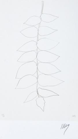 Ellsworth Kelly Untitled Signed Print