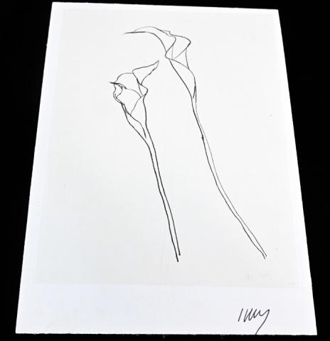 Ellsworth Kelly Signed Print Of Calla Lillies