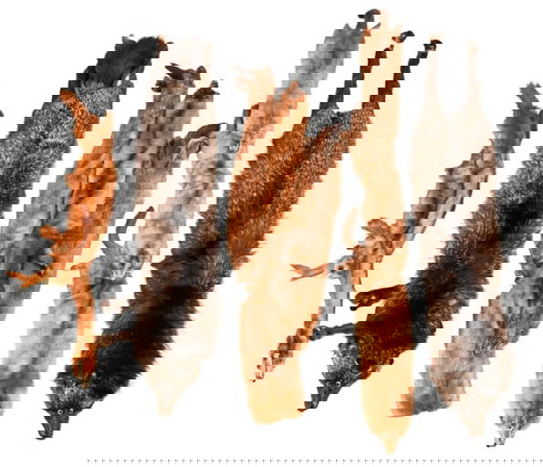 Collection Natural Fur Full Pelts Lined By Furrier